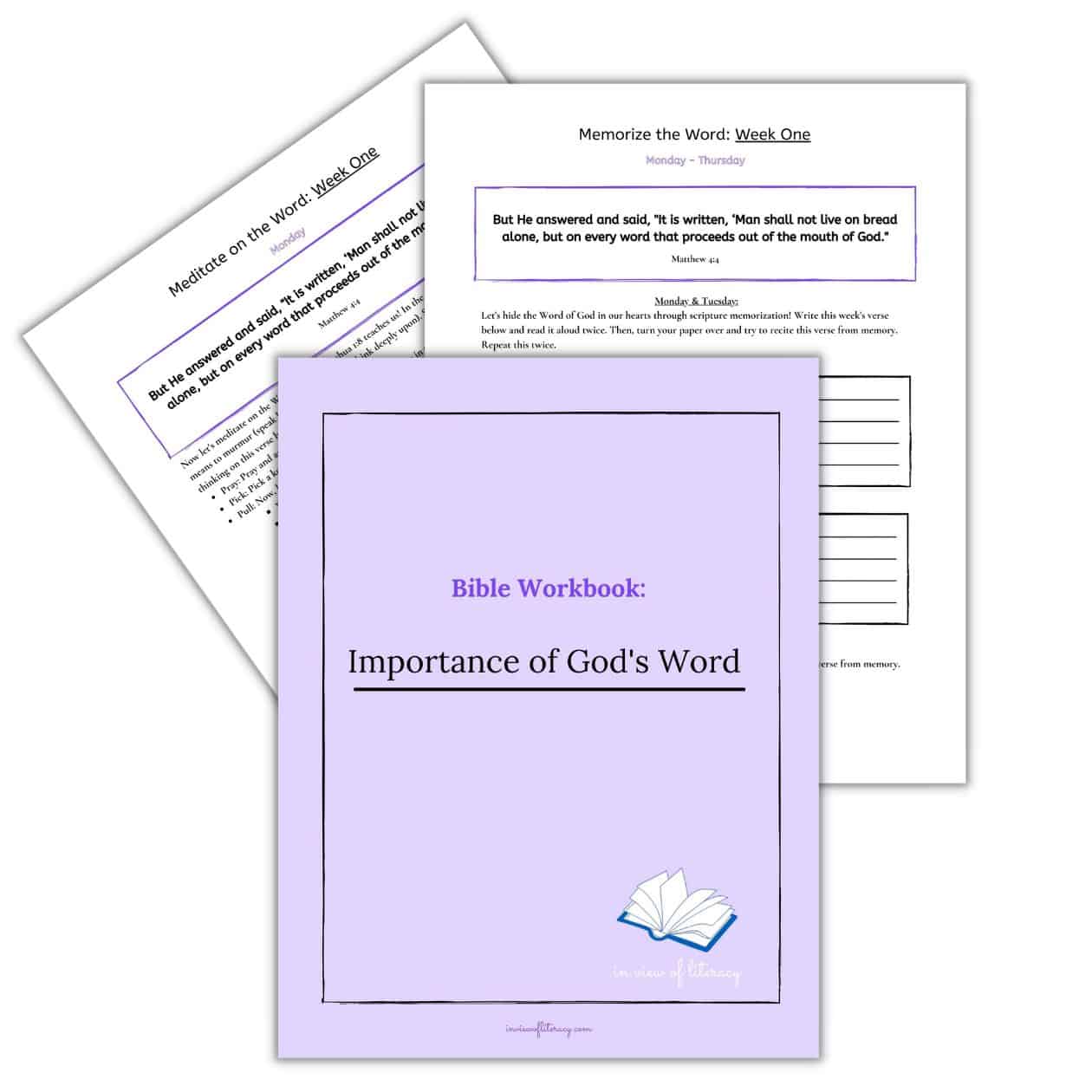 Free Bible Workbook - In View of Literacy